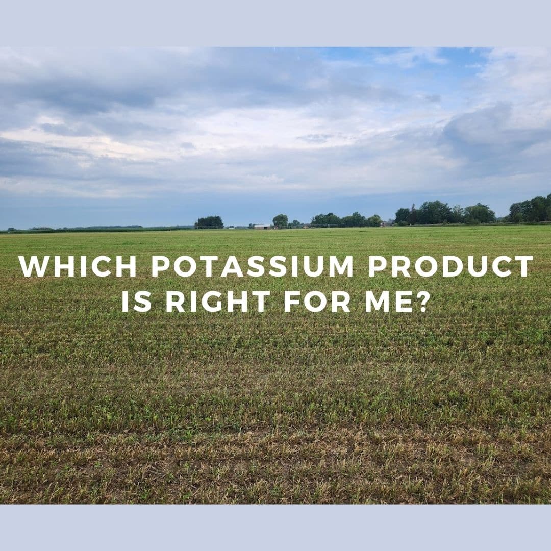 Planning for Planting: Potassium strategy - AgroLiquid