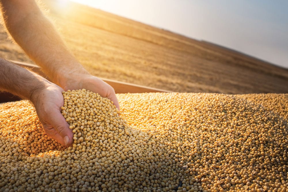 Yield is Important; Economics is Key - AgroLiquid