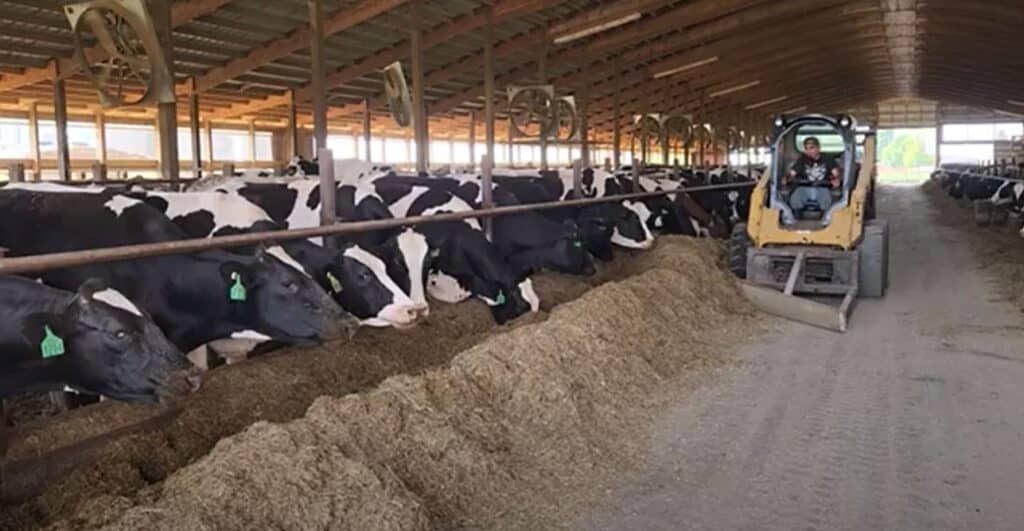 Backed by science: How high-quality crop nutrition pays off - AgroLiquid