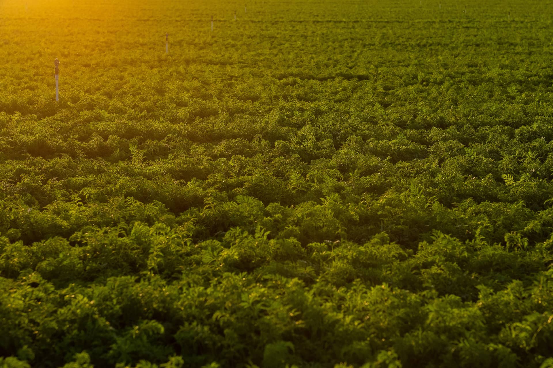 Retail Partner Training - AgroLiquid