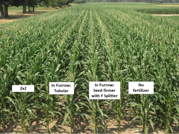 How to Use Phosphorus Fertilizer on Crops - AgroLiquid